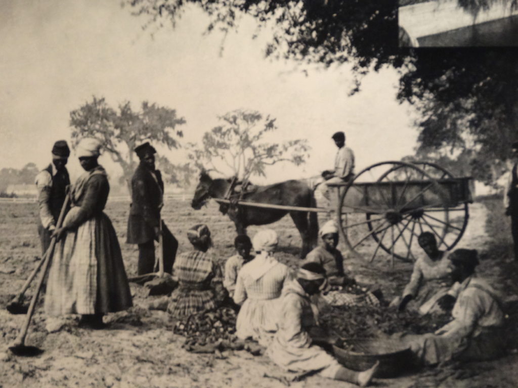 Slaves Working - Roberta Grimes